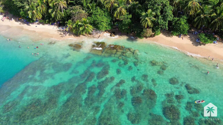 Punta Uva Y Arrecife: Entre Las 50 Mejores Playas Del Mundo 2025